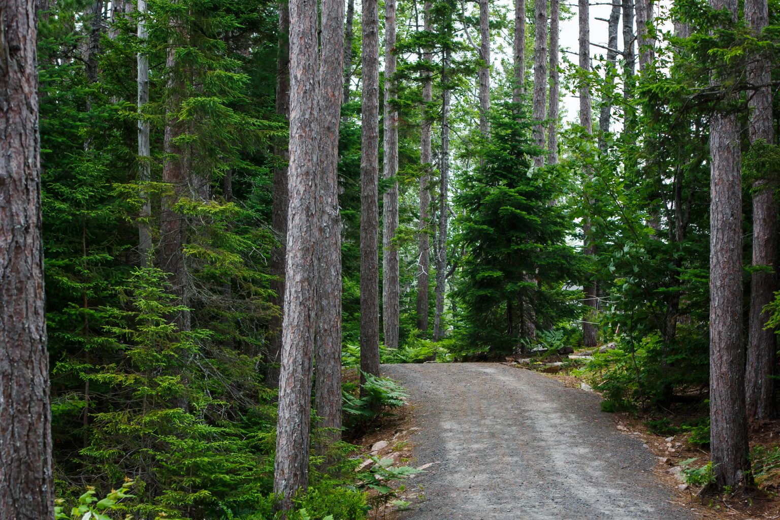 Facilities – Brigadoon Village
