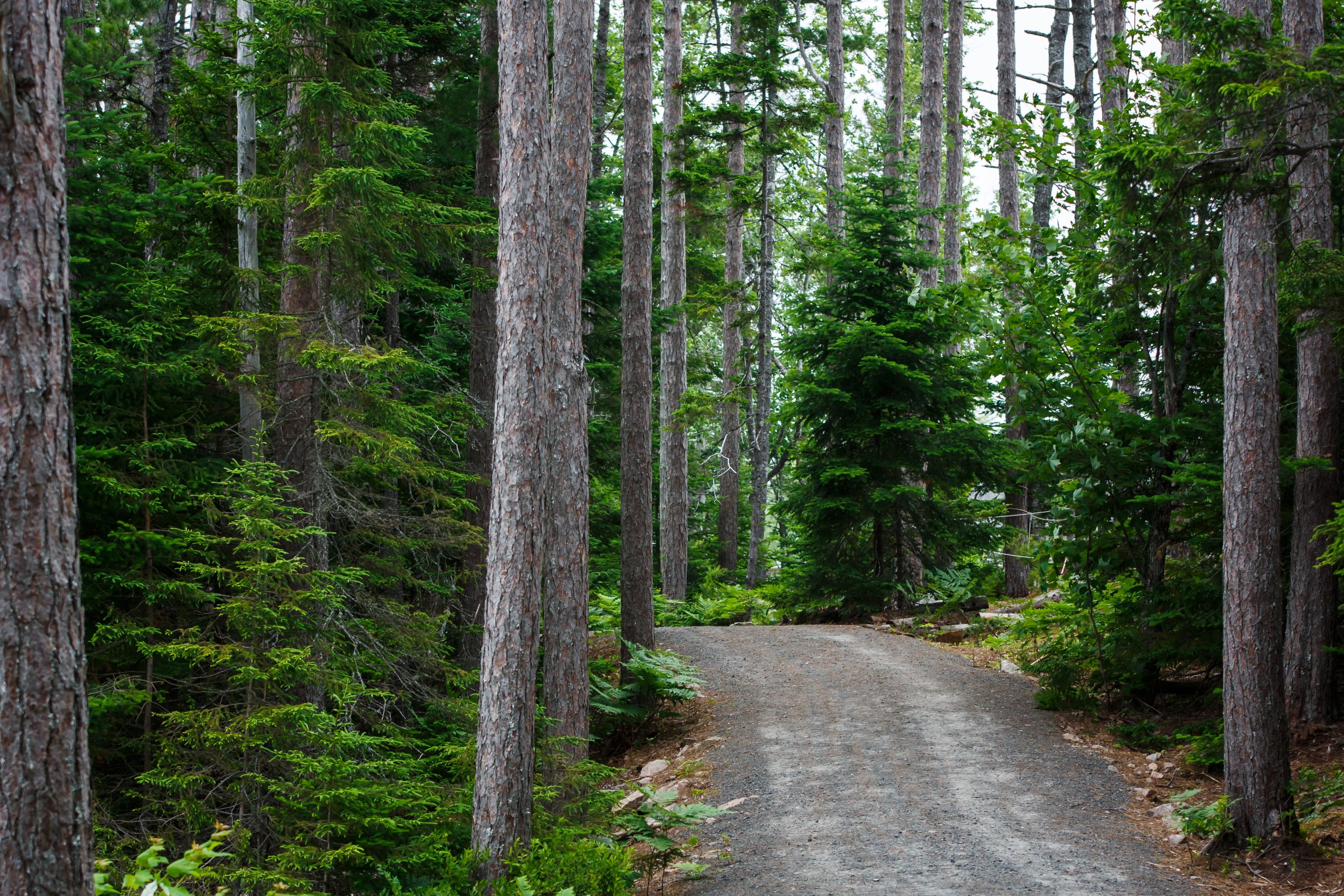 School & Youth Groups – Brigadoon Village