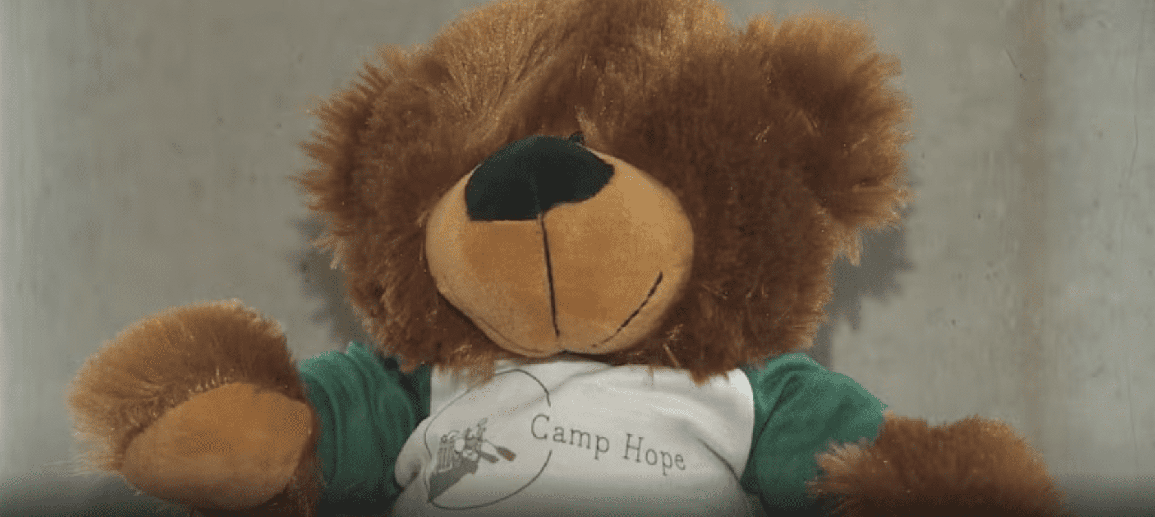 2021 Summer Camp - FAQs and Updates - Brigadoon Village